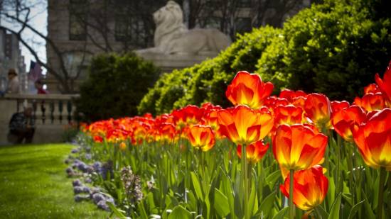Bryant Park in New York City