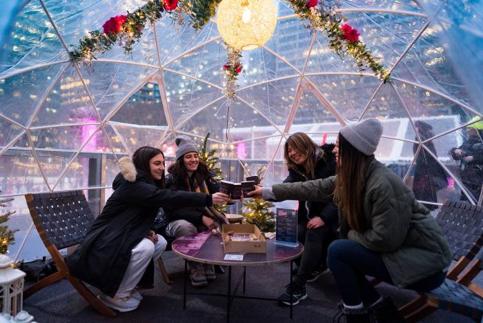 Cozy Igloos in New York City