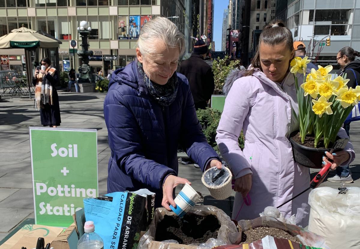 Bryant Park Plant Swap